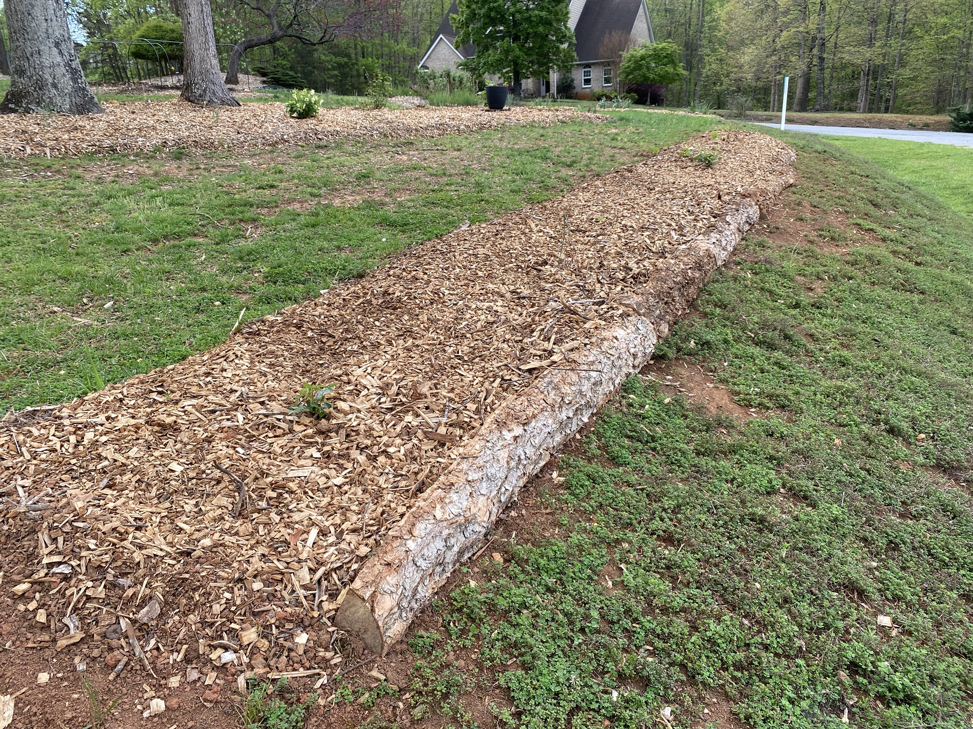 use what we have: logs for edging – 2 dogs and a house