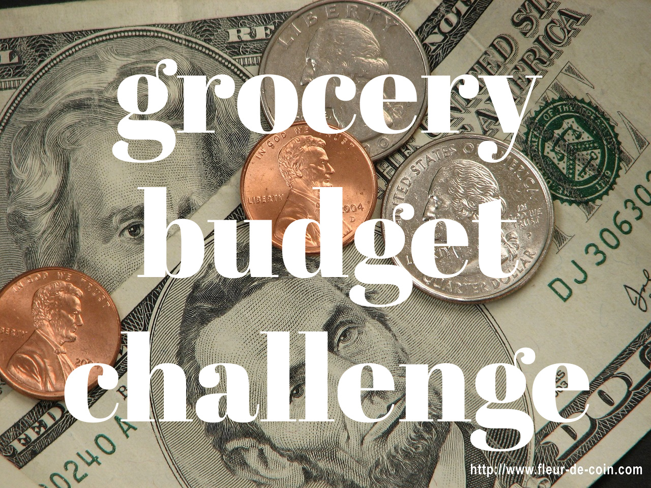 grocery budget challenge 3/14 – 2 dogs and a house